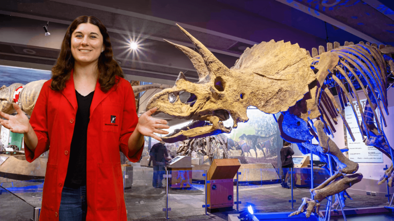 Animals | Museum of Science