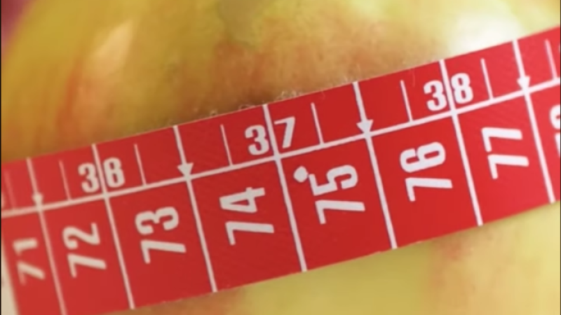 Pi Day 2026 | Museum of Science