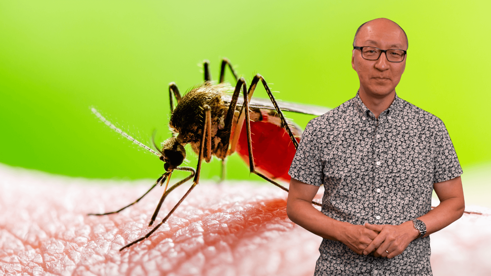 EEE: What You Need To Know | Museum of Science
