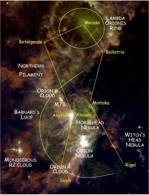 Getting to Know Orion: Stars, Nebulas, Meteors, Oh My! | Museum of Science