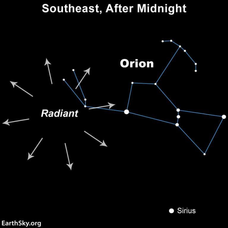 Getting to Know Orion: Stars, Nebulas, Meteors, Oh My! | Museum of Science